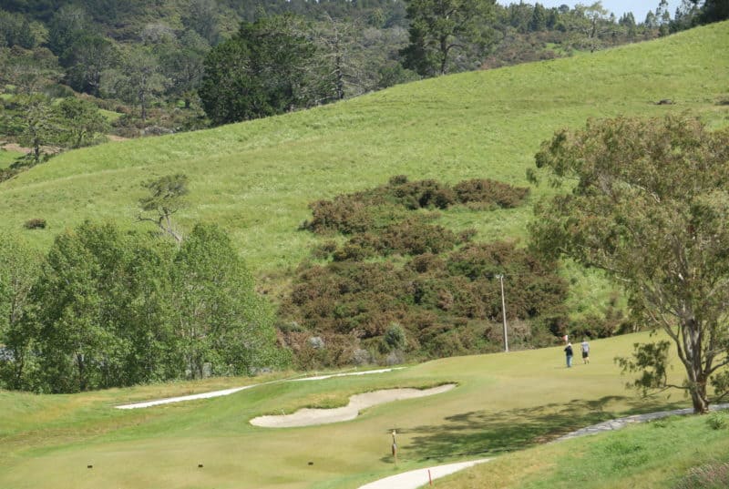 Wainui Golf Club - Best Of New Zealand Golf